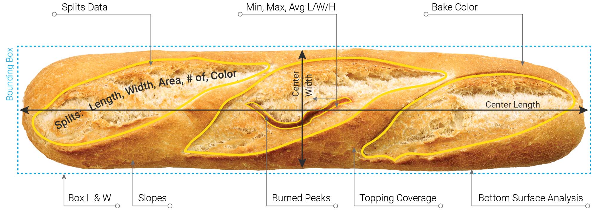 TheiaVu® TV-250 At-Line Vision Inspection System | KPM Analytics